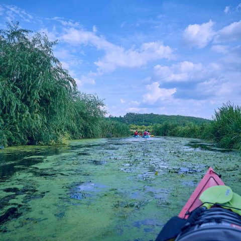 Home - Green Adventure